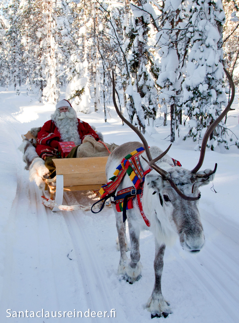 KUVA: Joulupukin rekiajelu – Joulupukki ja poro Rovaniemi – Lappi - Suomi