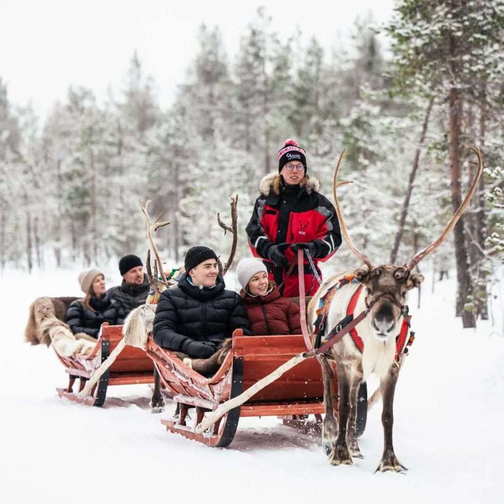 Granja de renos – Vive la naturaleza – Santa Claus Reindeer